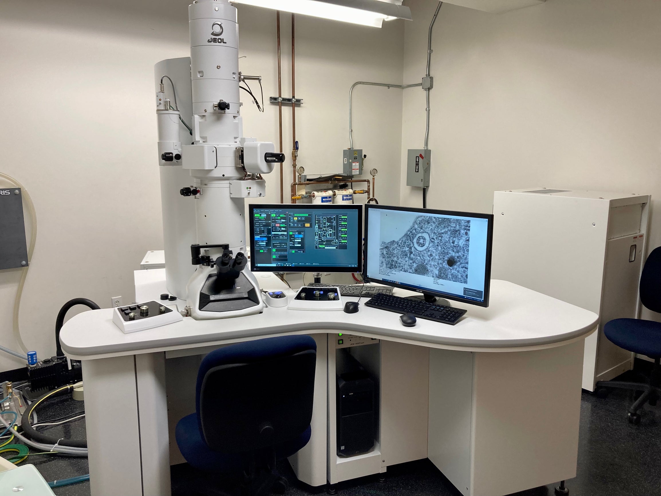 Microscope: JEOL JEM-1400Flash Transmission Electron Microscope ... Microscope: JEOL JEM-1400Flash Transmission Electron Microscope ...